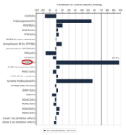 Zynamite: Next-Generation Brain and Body Support from Mangiferin