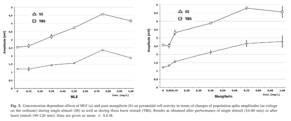 Zynamite: Next-Generation Brain and Body Support from Mangiferin