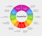 Zynamite: Next-Generation Brain and Body Support from Mangiferin